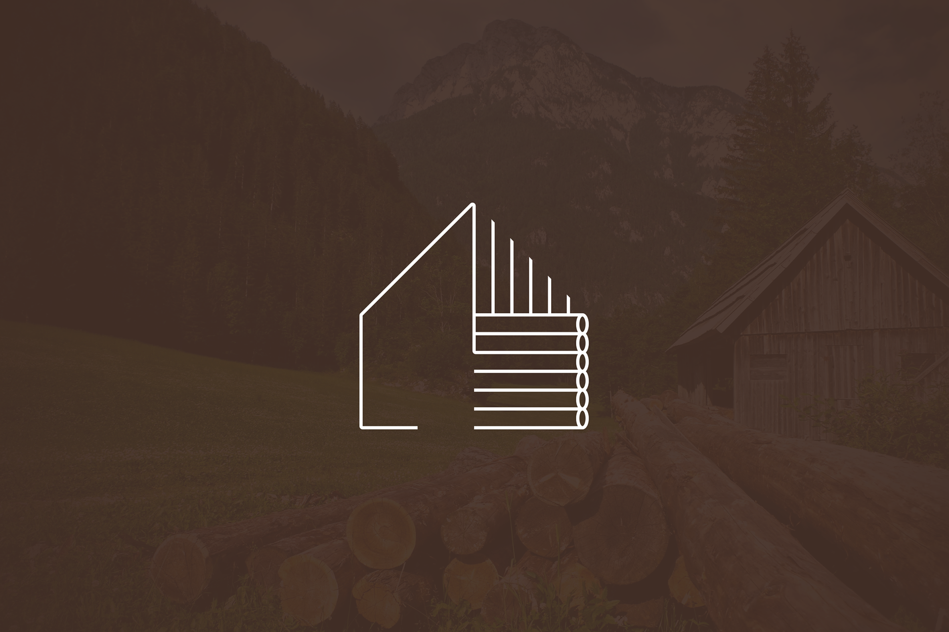 Dhruv Samrat - Logos and Marks - Logofolio