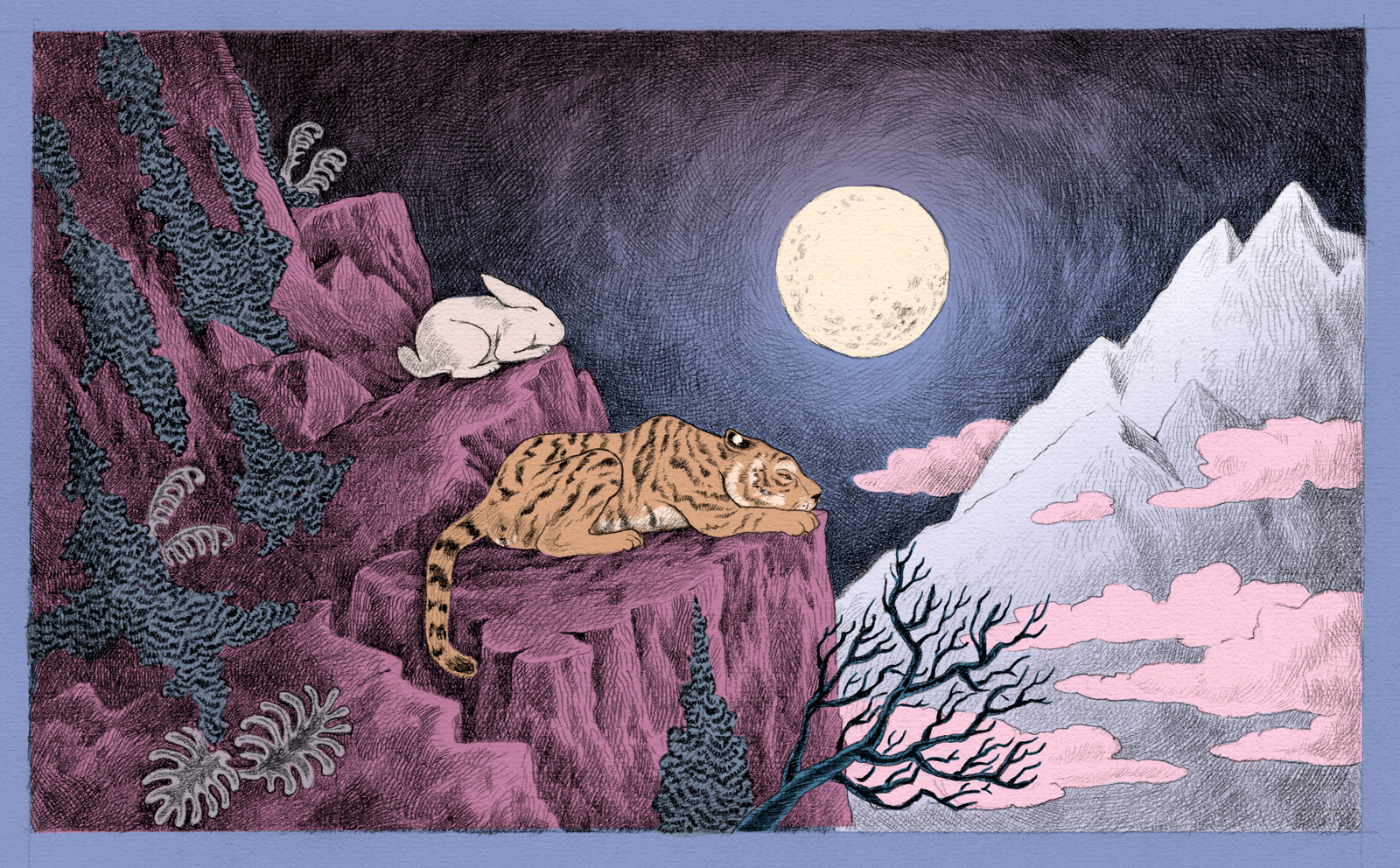 Tuan Nini - Tiger & Rabbit