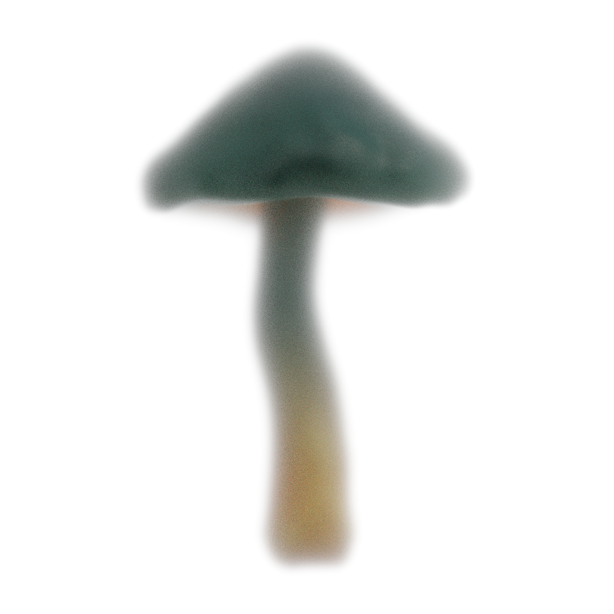 Forest Caps