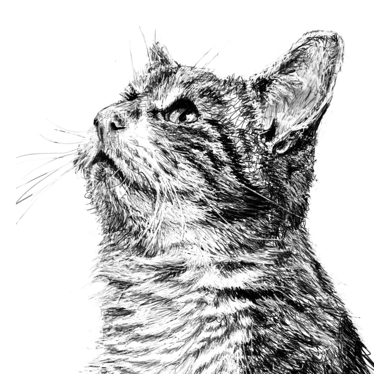 Stefan Larsson - Boo