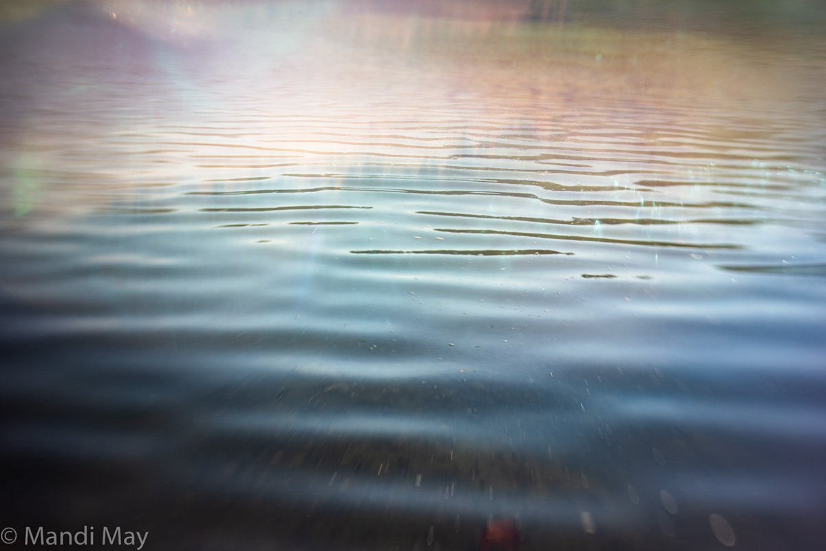 Mandi May | Fine Art Photography and Monotypes - Abstract