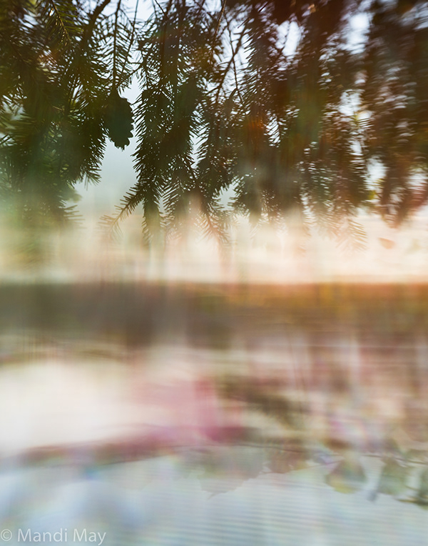 Mandi May | Fine Art Photography and Monotypes - Scenic