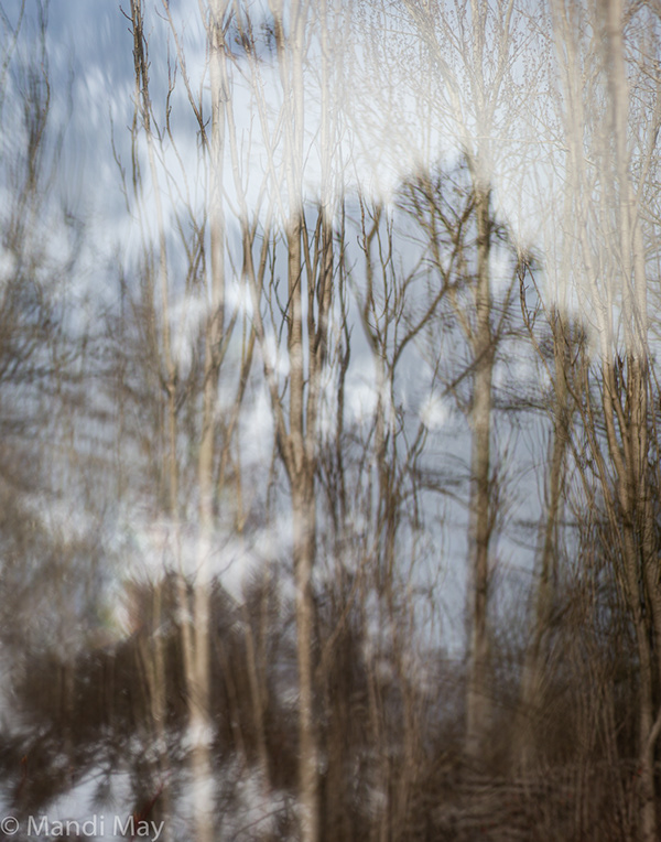 Mandi May | Fine Art Photography and Monotypes - Abstract