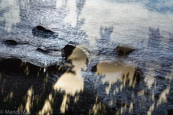 Mandi May | Fine Art Photography and Monotypes - Abstract and Flora