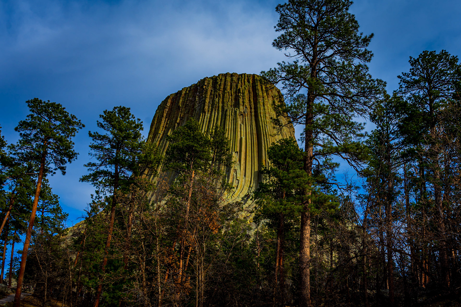 Anthony Lowry - South Dakota, Devils Tower WY, Mount Rushmore