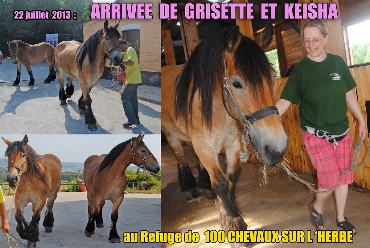 Marc BEELEN - KEISHA