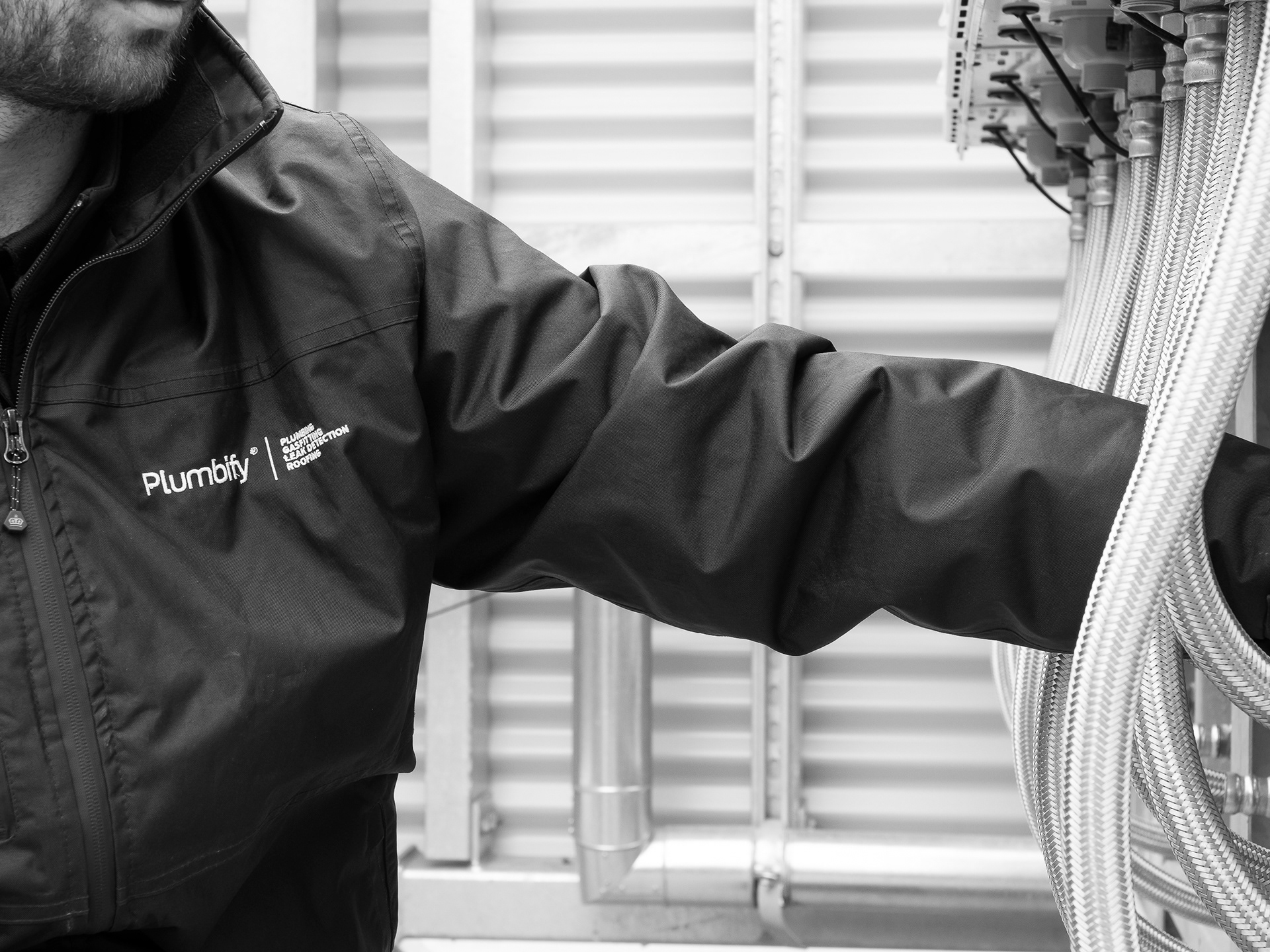 Lisa Dimitri Gallery - Commercial