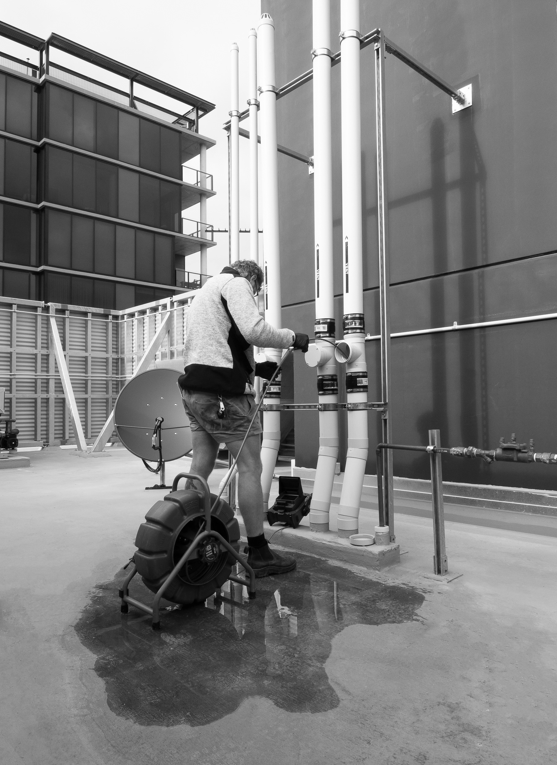 Lisa Dimitri Gallery - Commercial