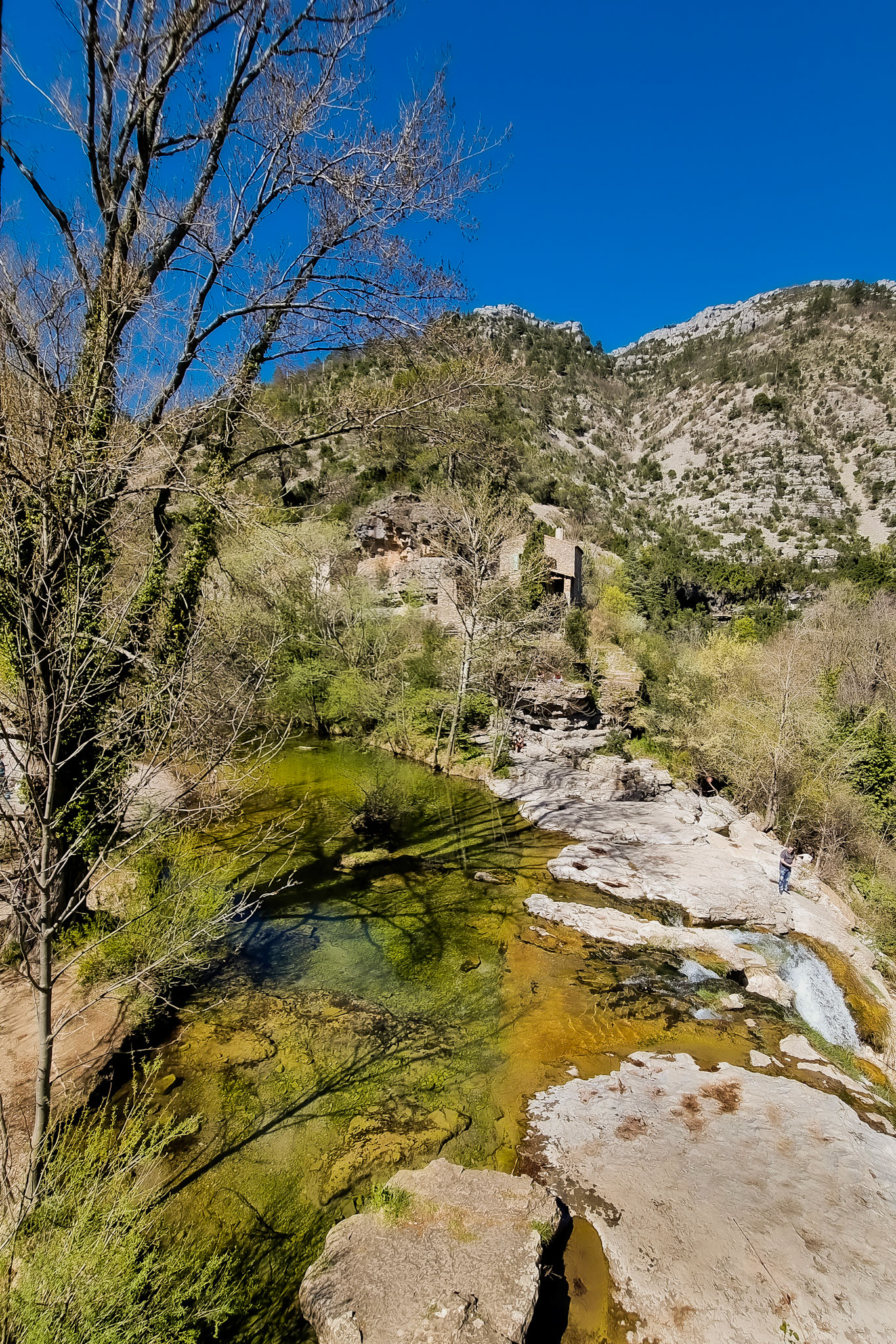 Pascale Bailly - Les Cévennes Flat - 2023
