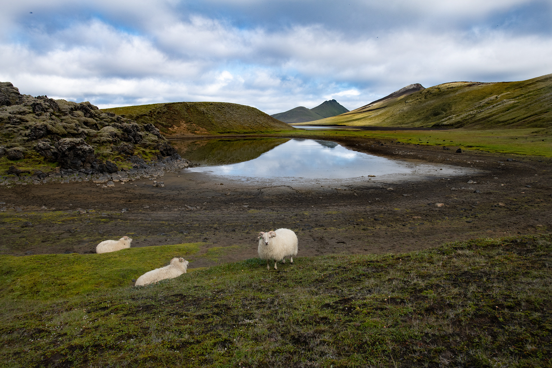 Zoe Larson - Iceland