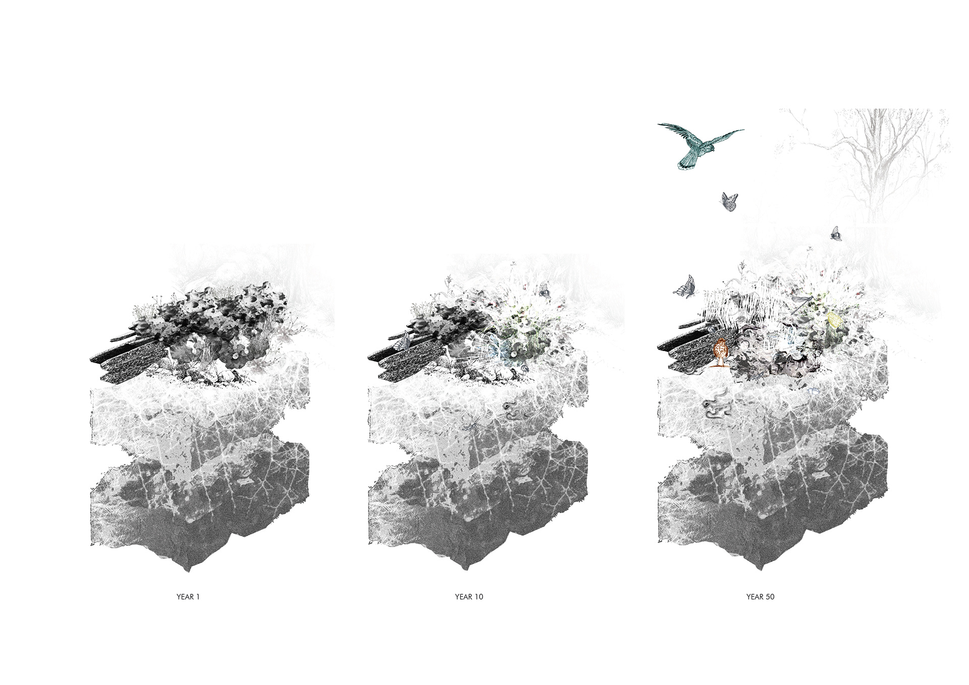 Valentina Caro - Synthetic to natural landscapes