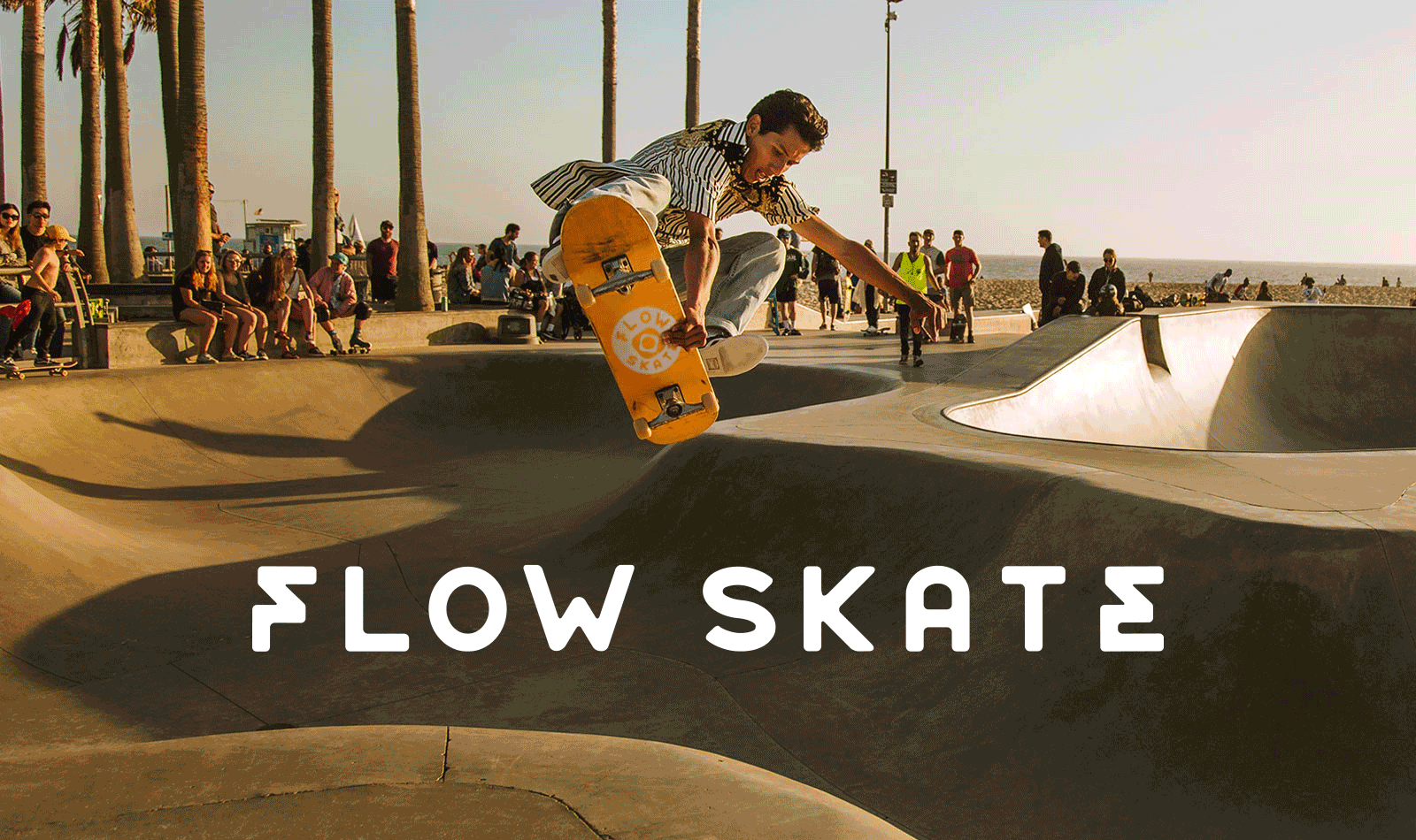 George McGeachie: Design Portfolio - Flow Skate