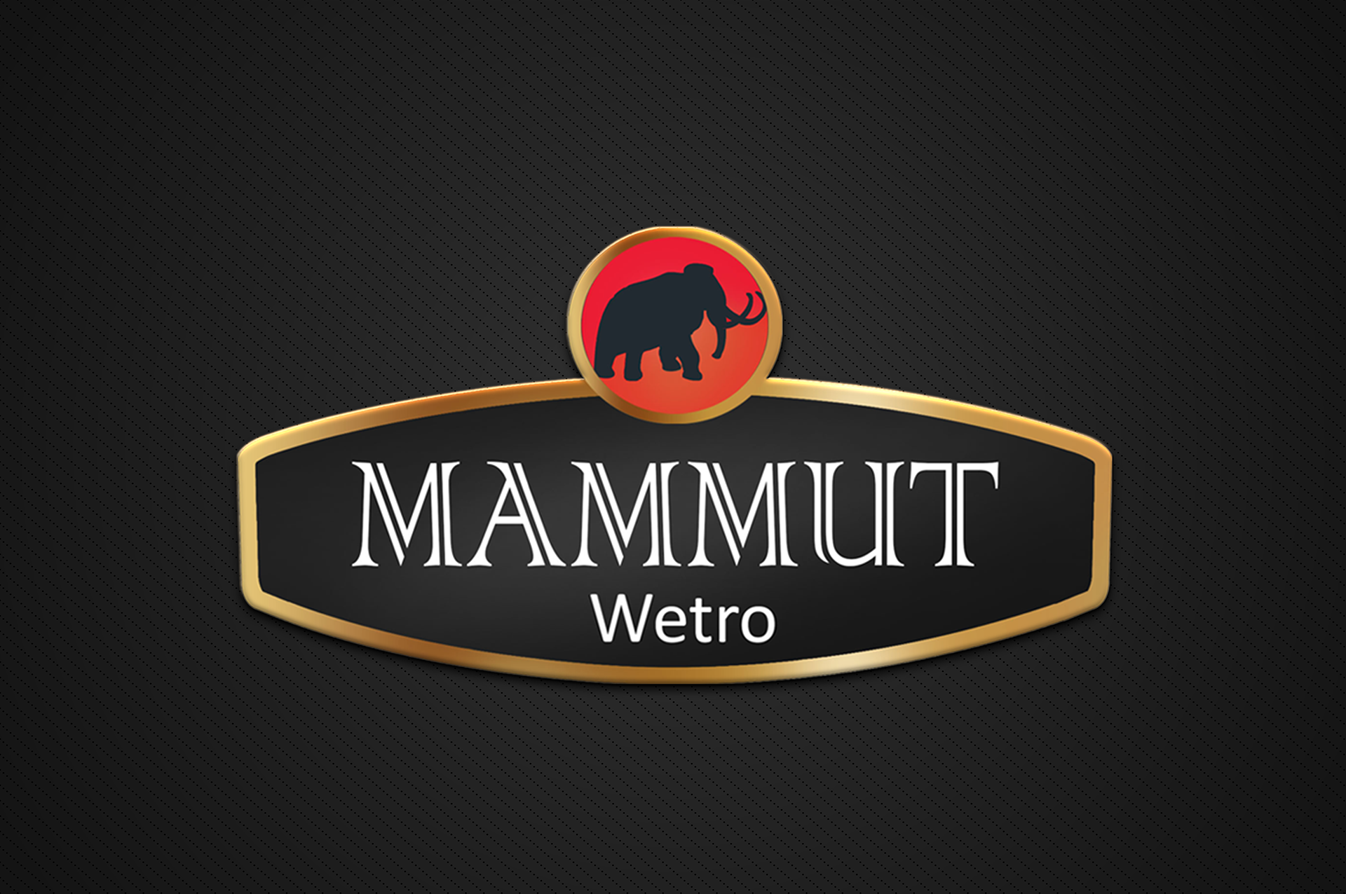 Baraa Nashed - Logo Examples