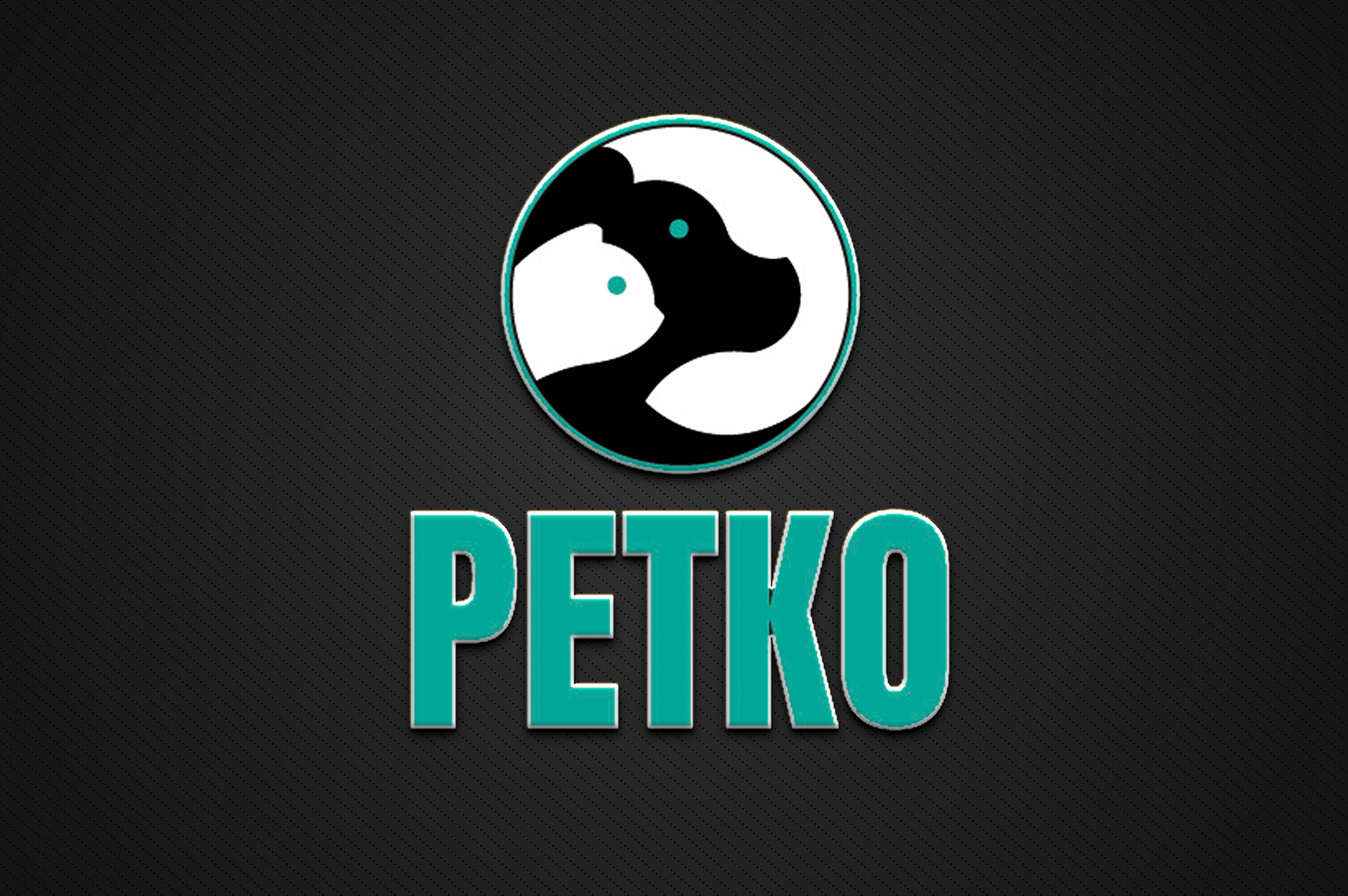 Baraa Nashed - Logo Examples