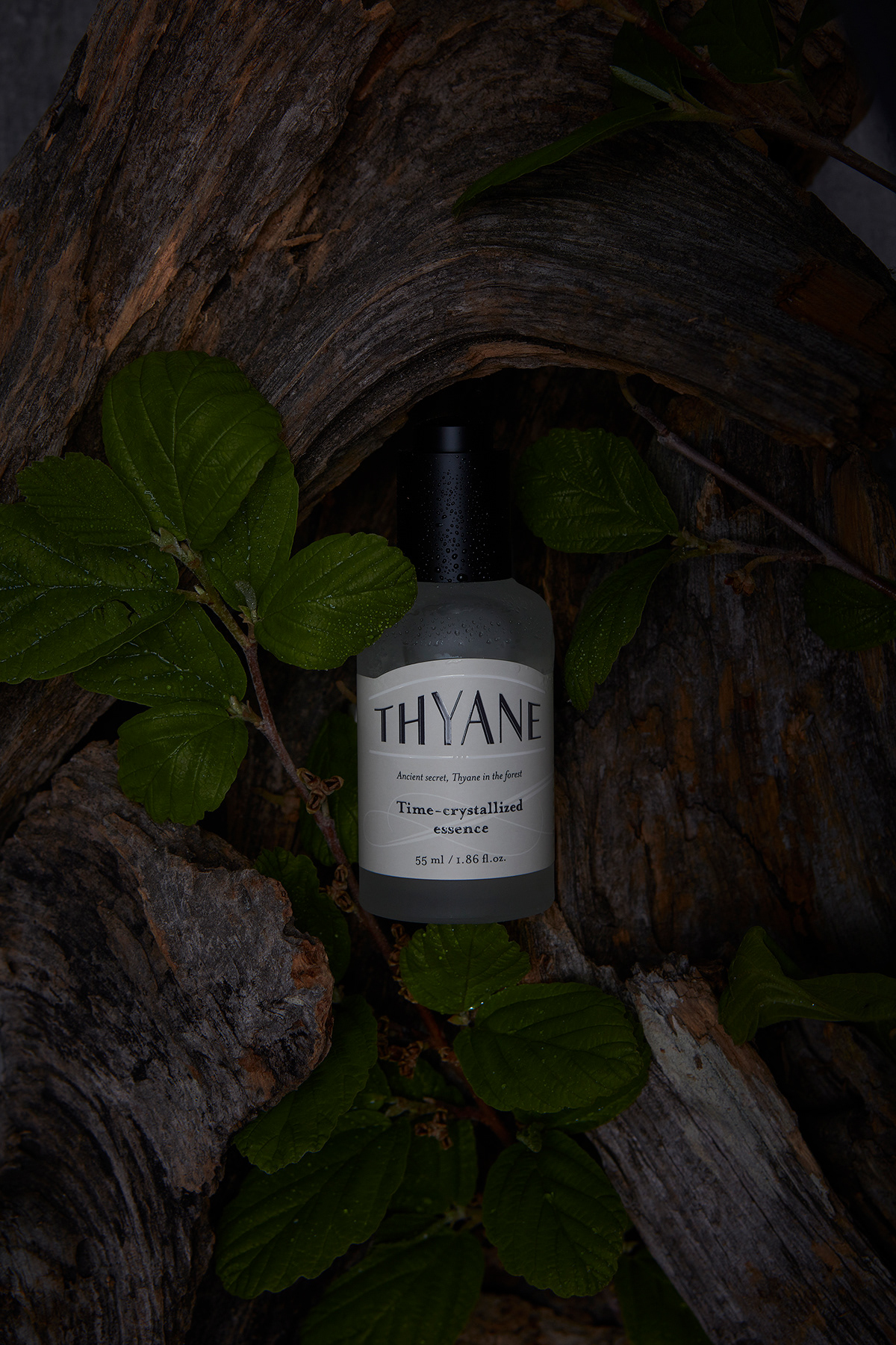 CFC - THYANE