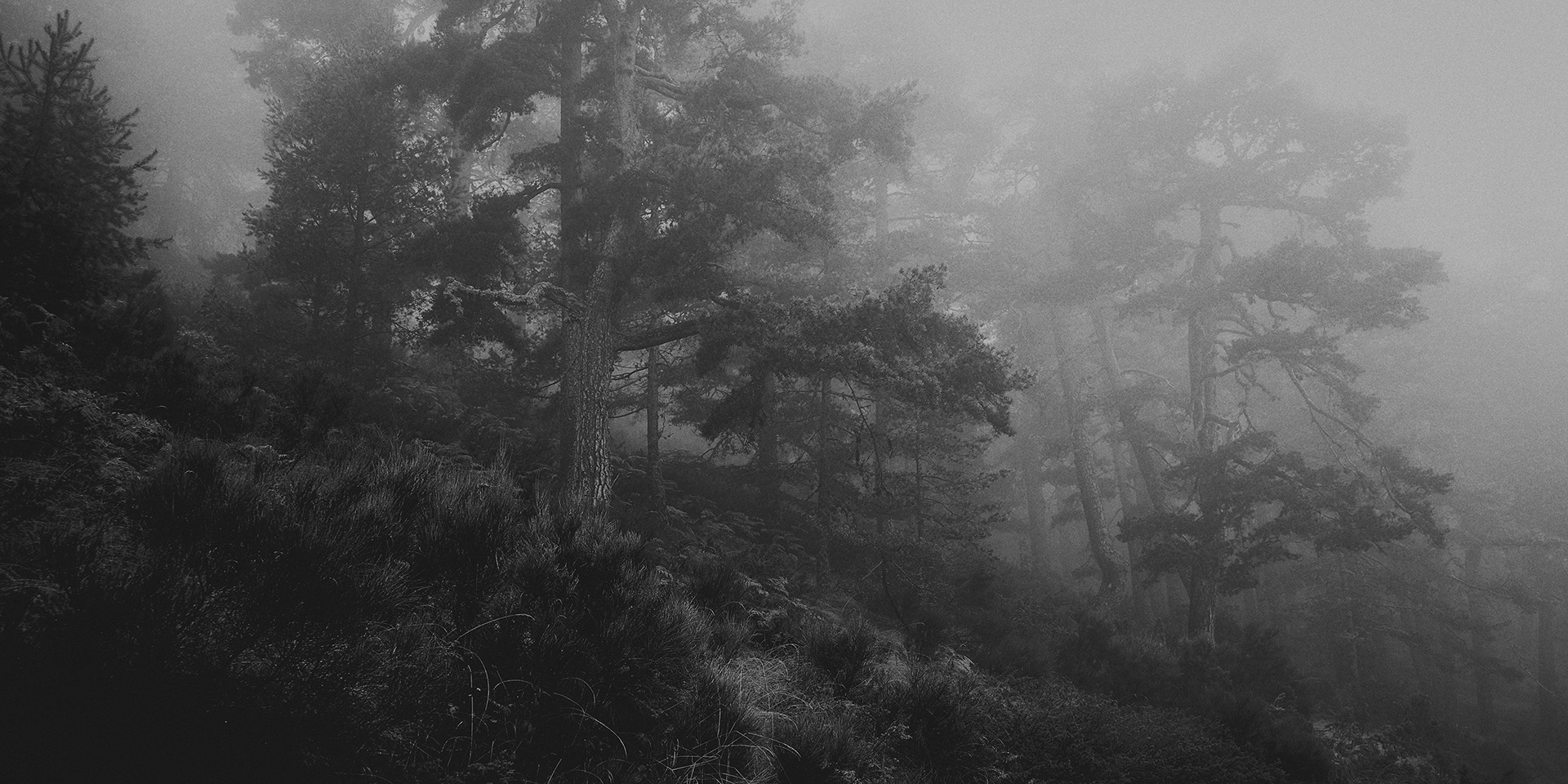 Visual Decay | Art & Design - Photography