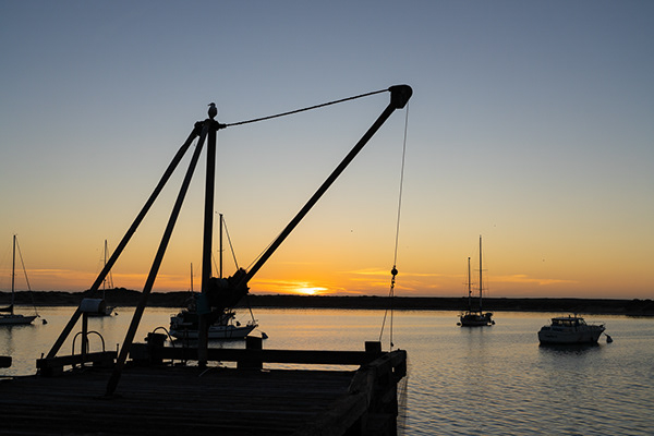 roger fleming pix - Morro Bay