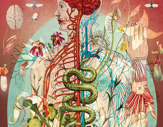 Carmen Ziervogel Illustration - Migrate Magazine Carmen Ziervogel Illustration - Migrate Magazine