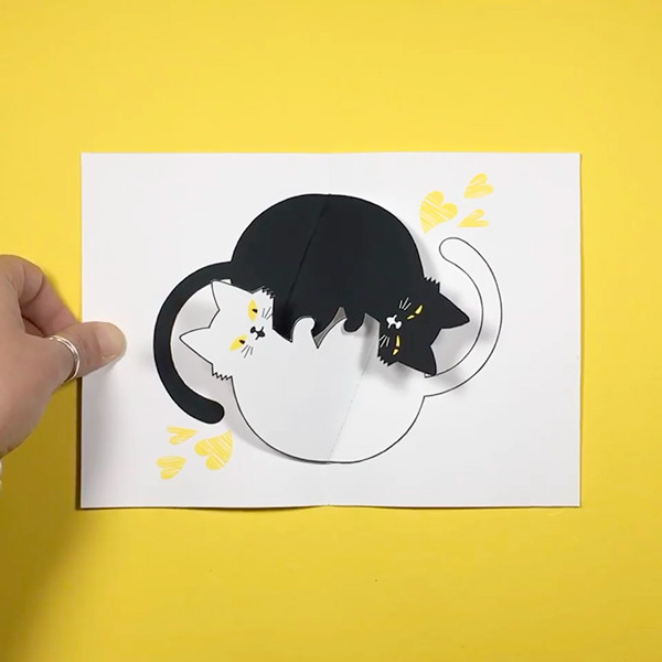 Mathilde Arnaud — Paper & Graphic Design - Chat Noir/Chat Blanc
