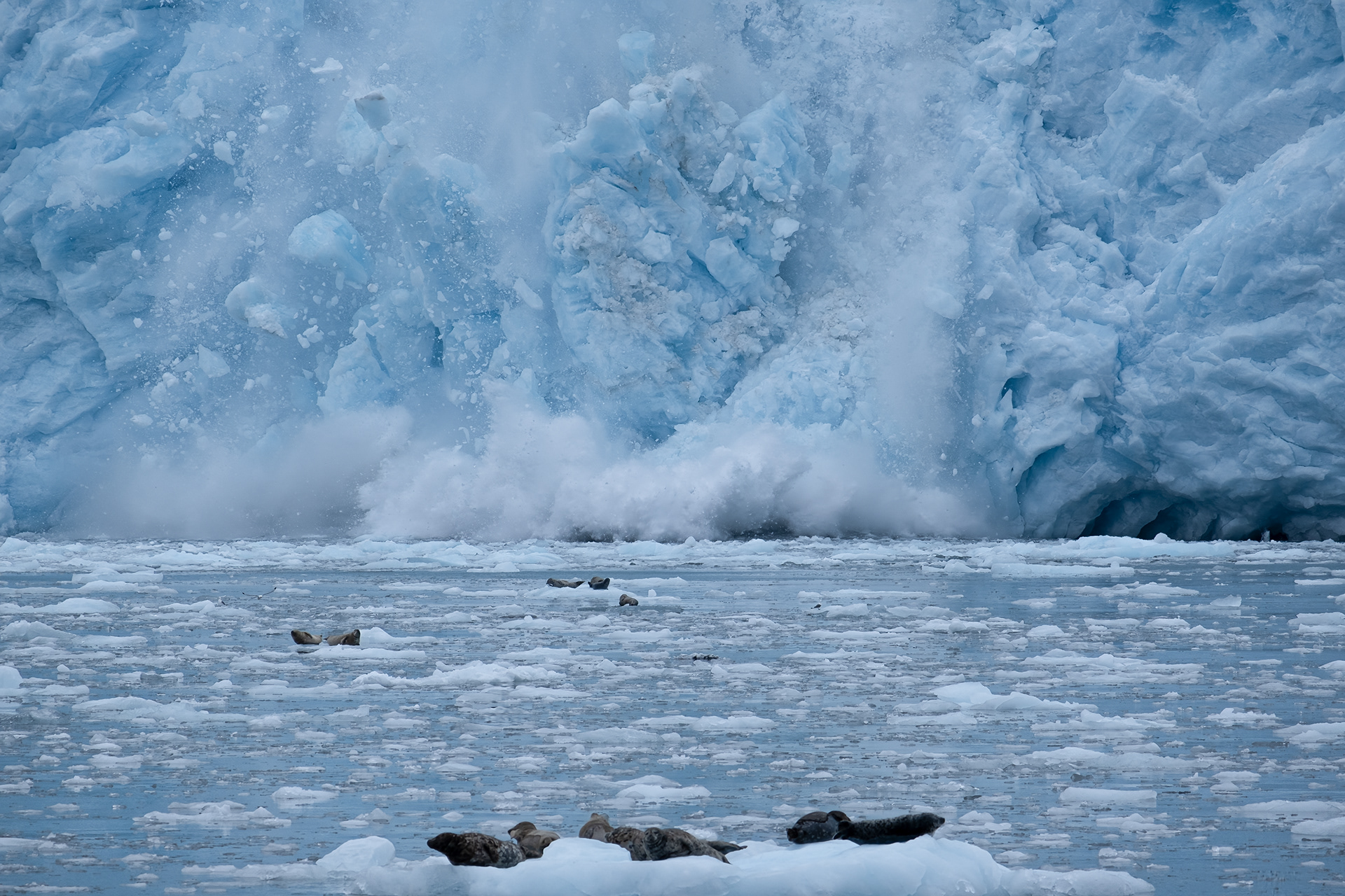 The World Through My Eyes - Travelogue Photography - Kenai Fjords