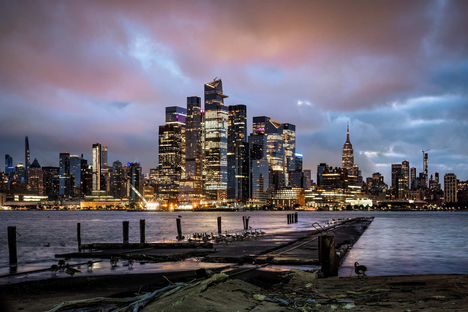 Edi Chen - Photographer and Filmmaker Base in New York City