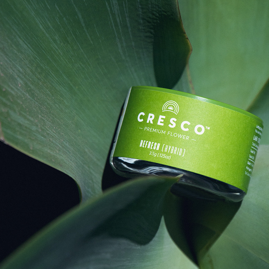 Kristine Arth | Creative Direction & Graphic Design - SFCMA