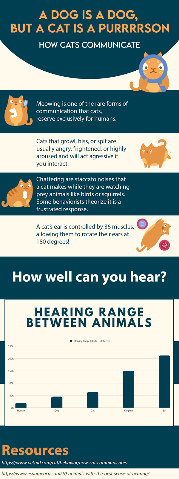 Sherry Carswell Portfolio - Informative Cat Infographic