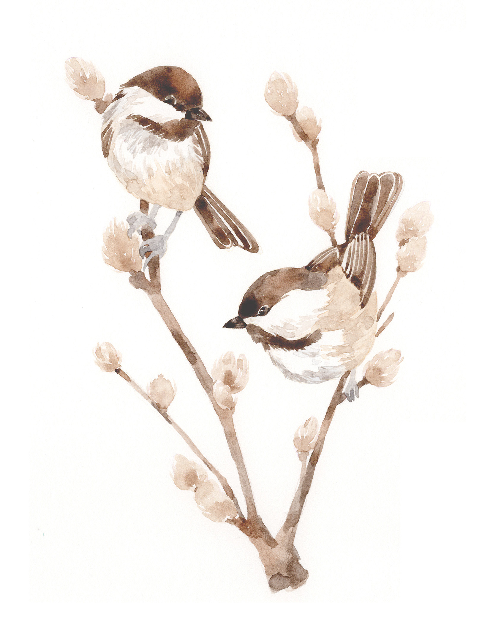 Kristie Millan - Wildlife