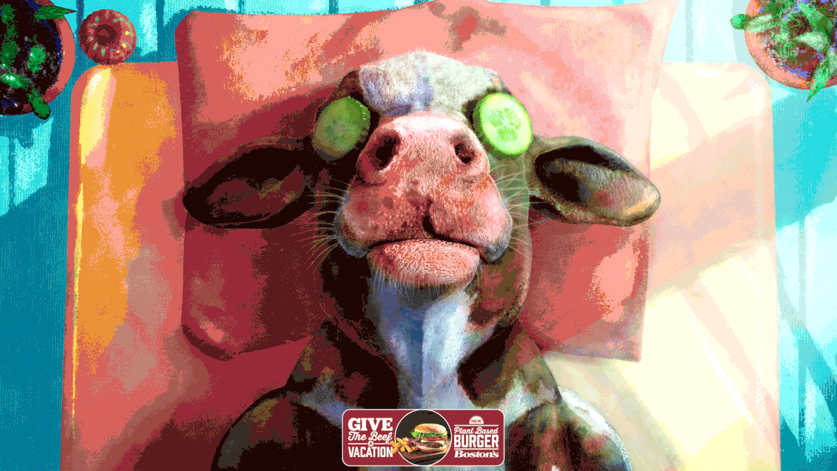 MR. FLAMA - BOSTON'S COWS