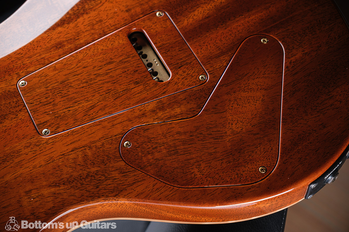 Bottom's Up Guitars | Hi-Reso Guitar Photo Gallery - PRS Private Stock Brazilian P24 Trem