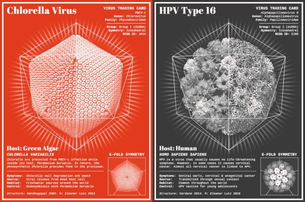 Eleanor Lutz - Virus Trading Cards