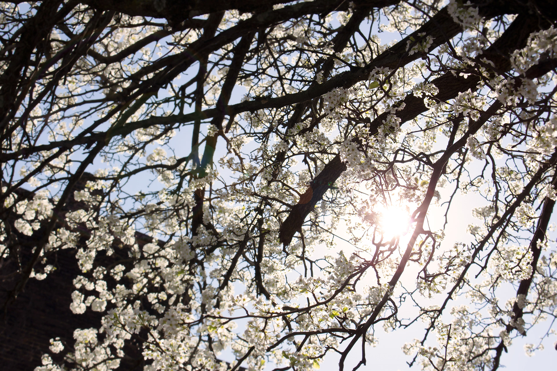 James Hamilton Photography - NATURE 2019