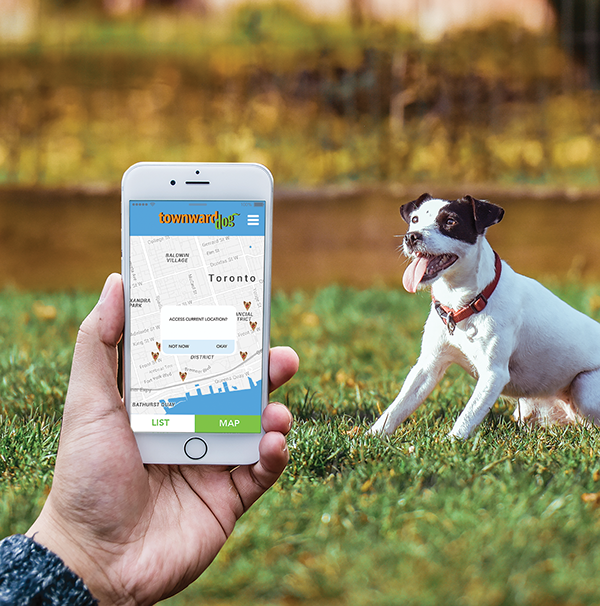 Medical Alert Dogs SA - Contact