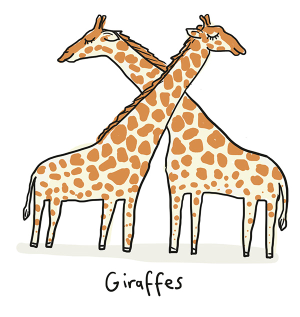 Sarah Ray - 'Favourite things' custom prints