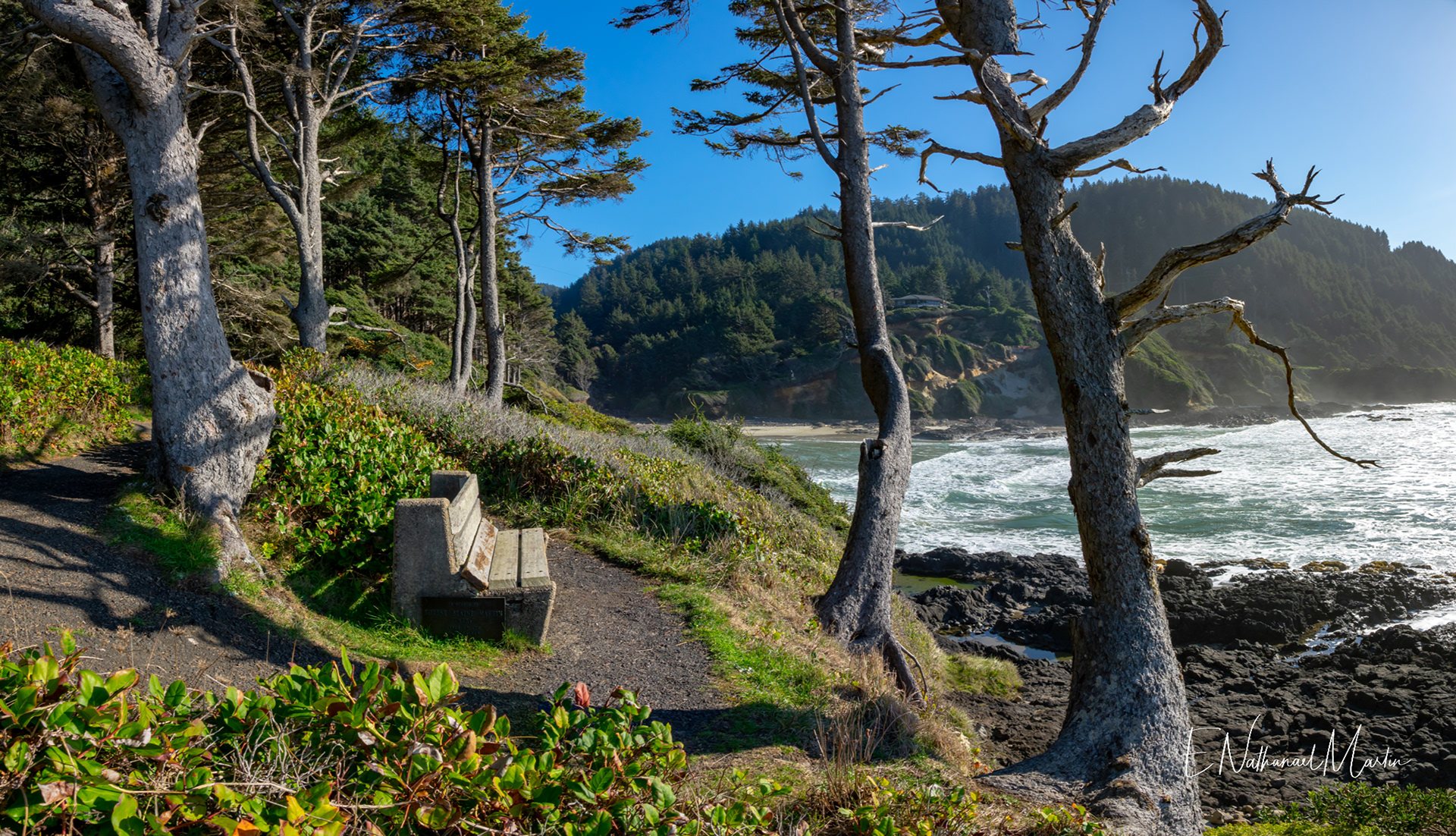 Nature by Nat Photography - Oregon Coast November 2018