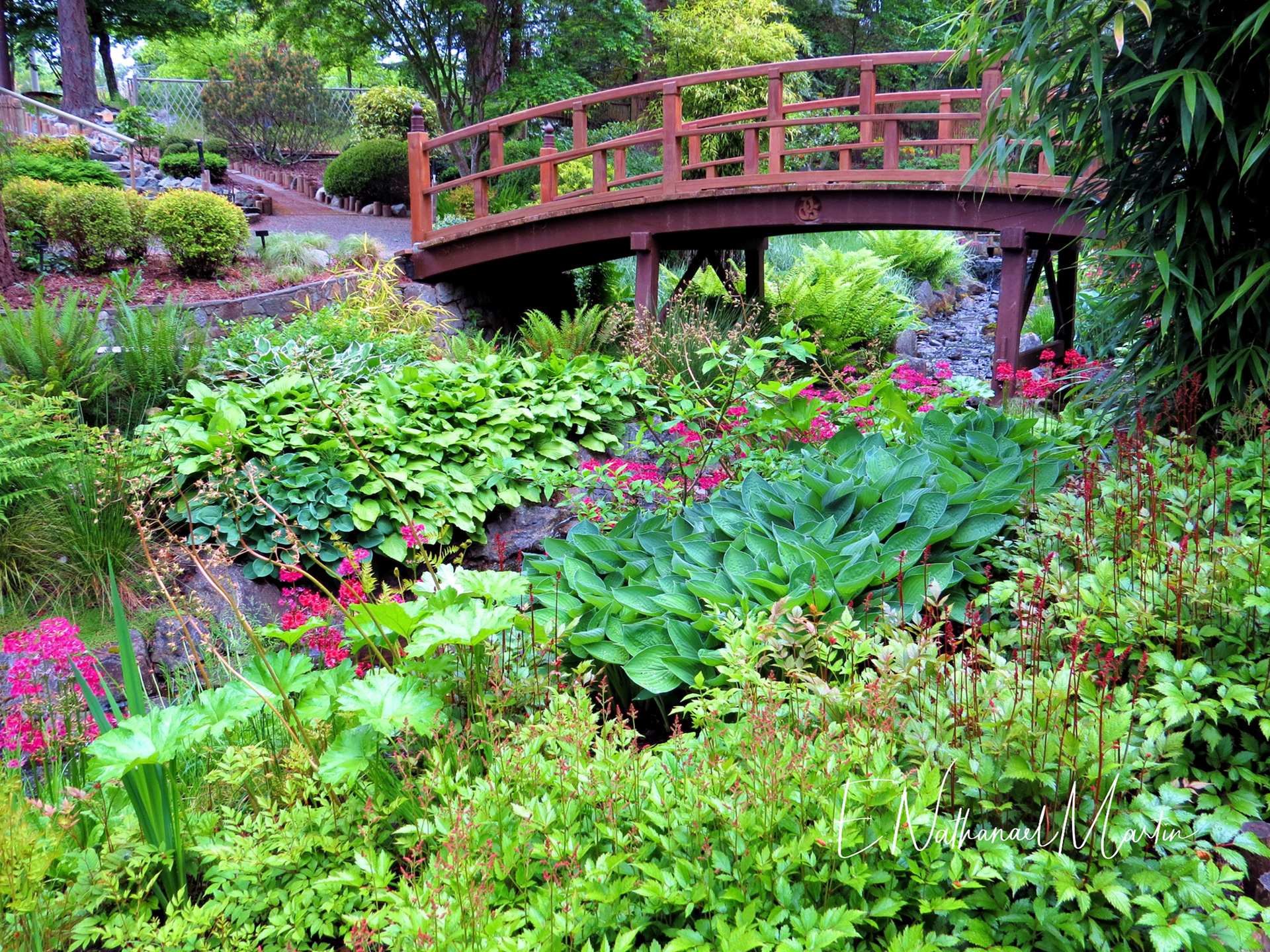 Nature by Nat Photography - Victoria BC