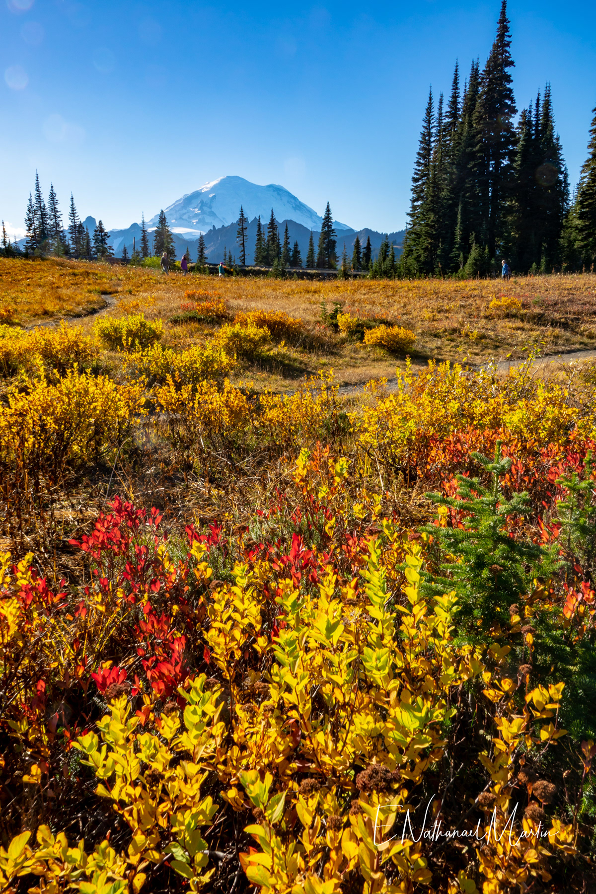 Nature by Nat Photography - Rainier Fall Colors