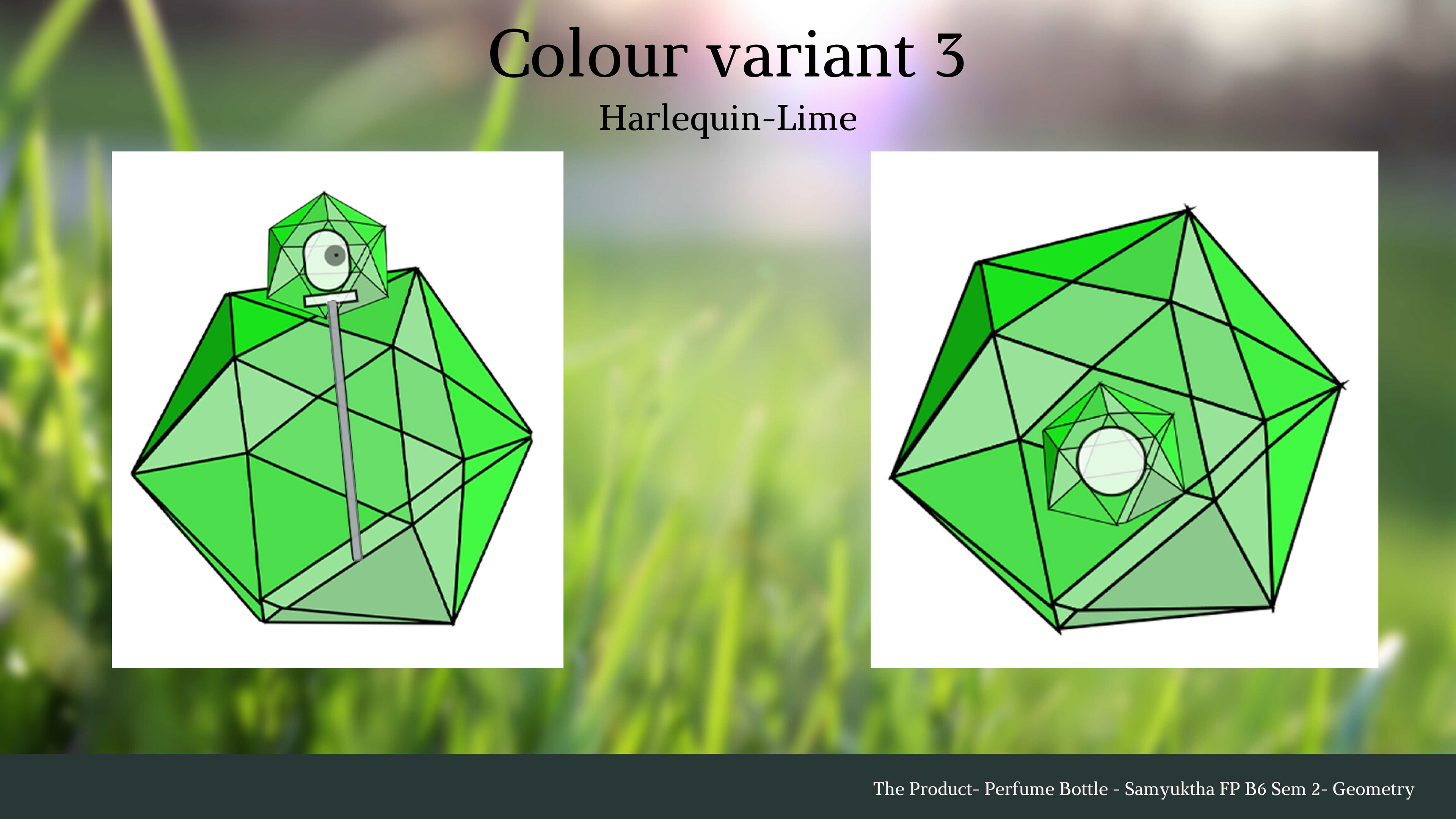Sam R - Geometric Perfume Bottle Design