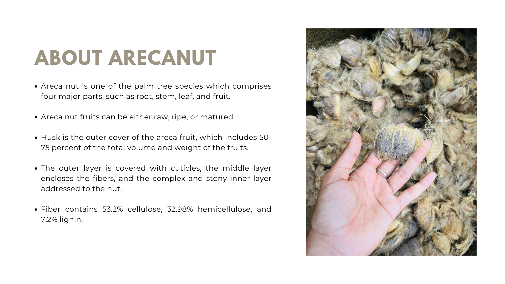 SAMYUKTHA - Fiber Extraction