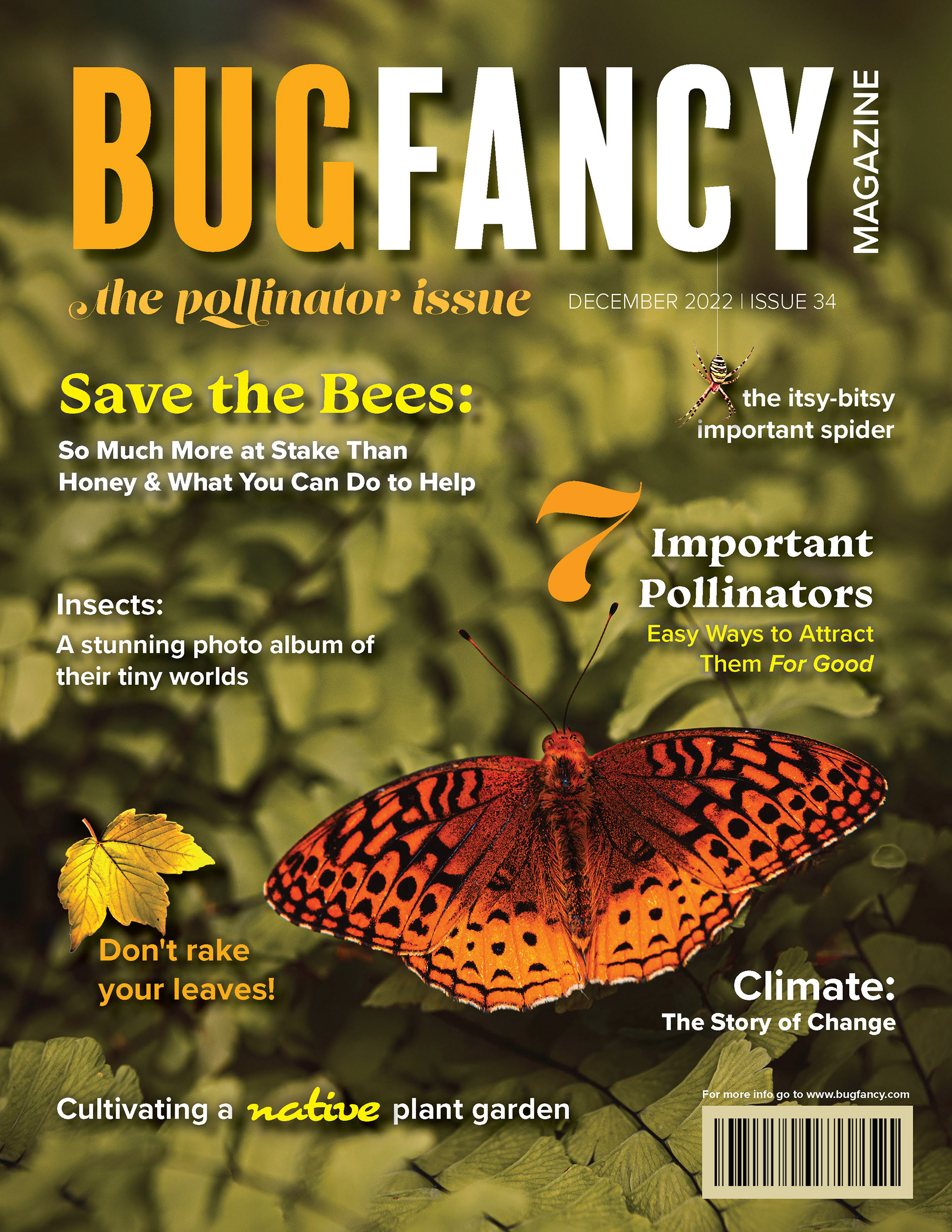 Jess Cicoria Design - Fictional "BugFancy" magazine cover & spread