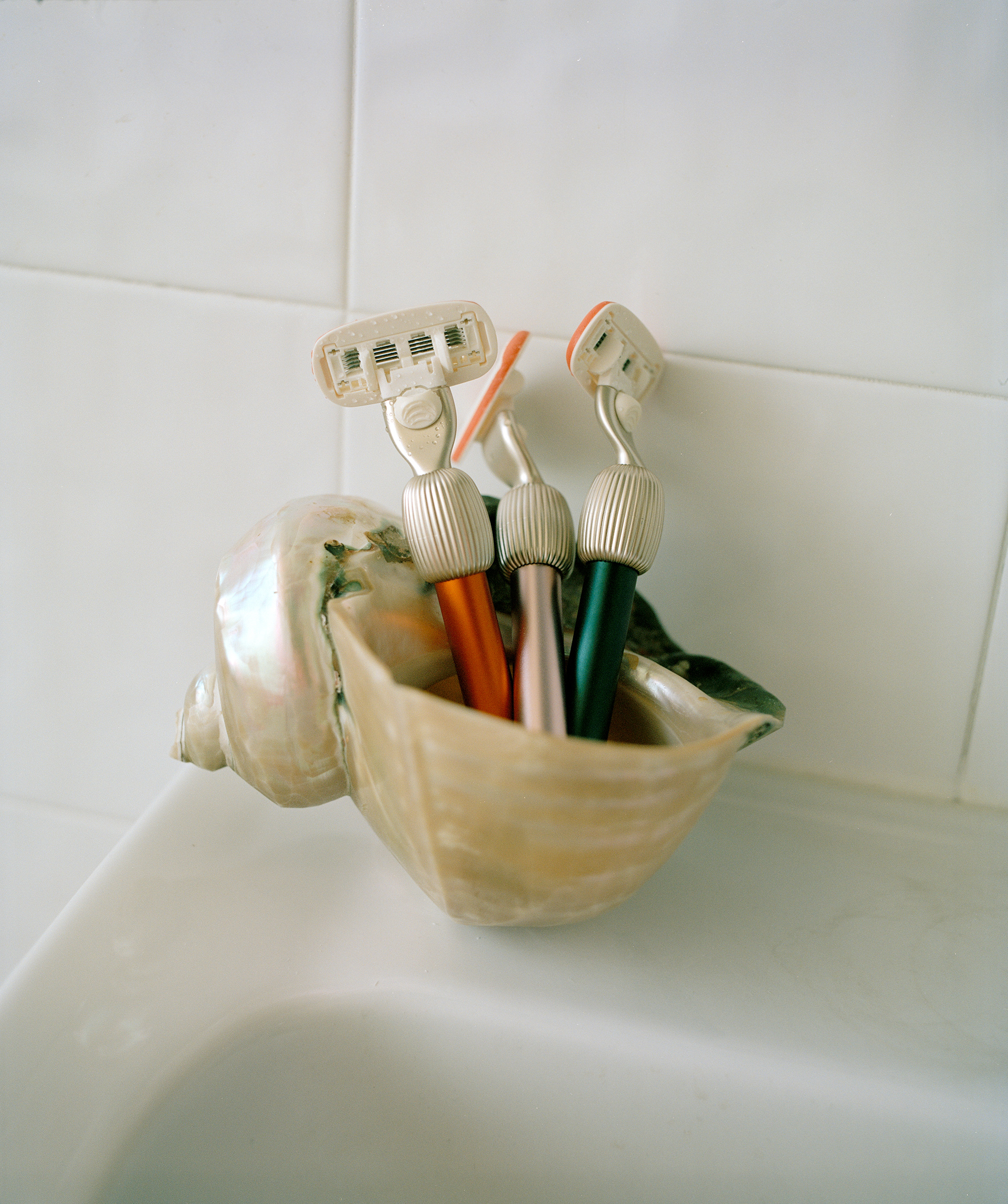 sara lorusso - Portfolio