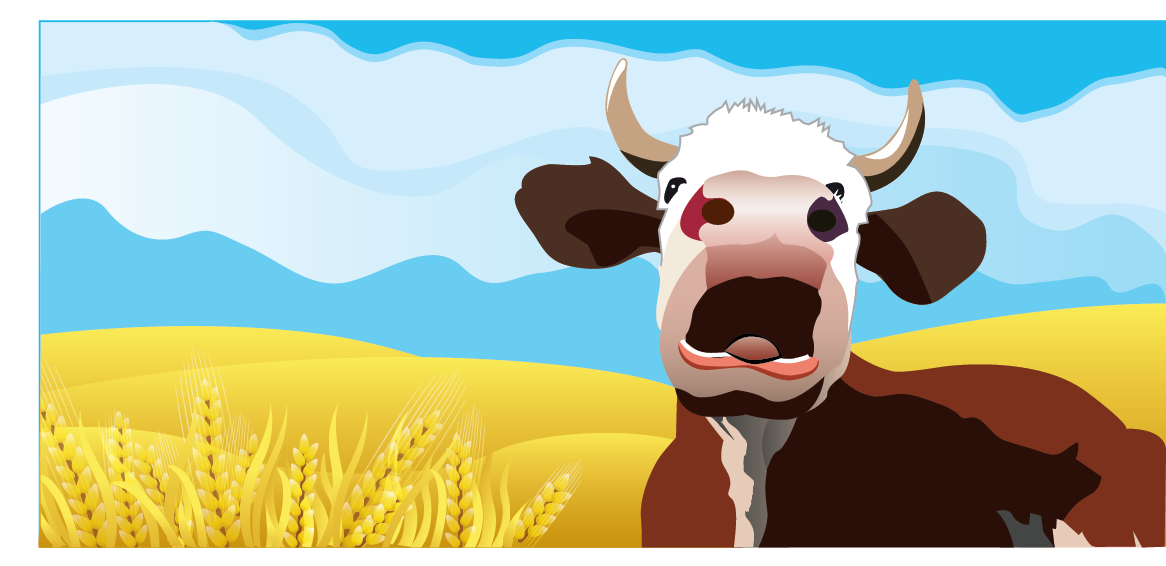 Sarita Geisel Graphic Design - ILLUSTRATION