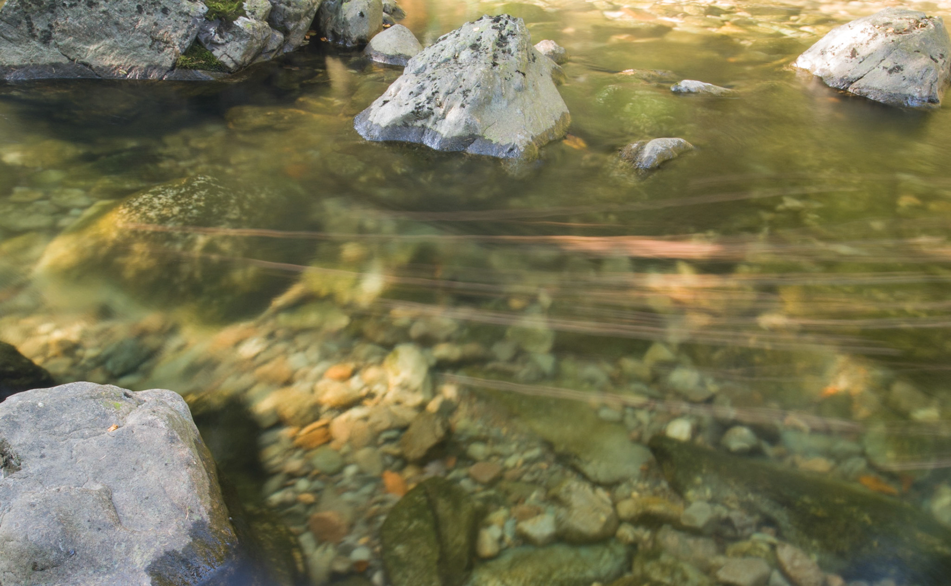 alan lawlor - River Duddon
