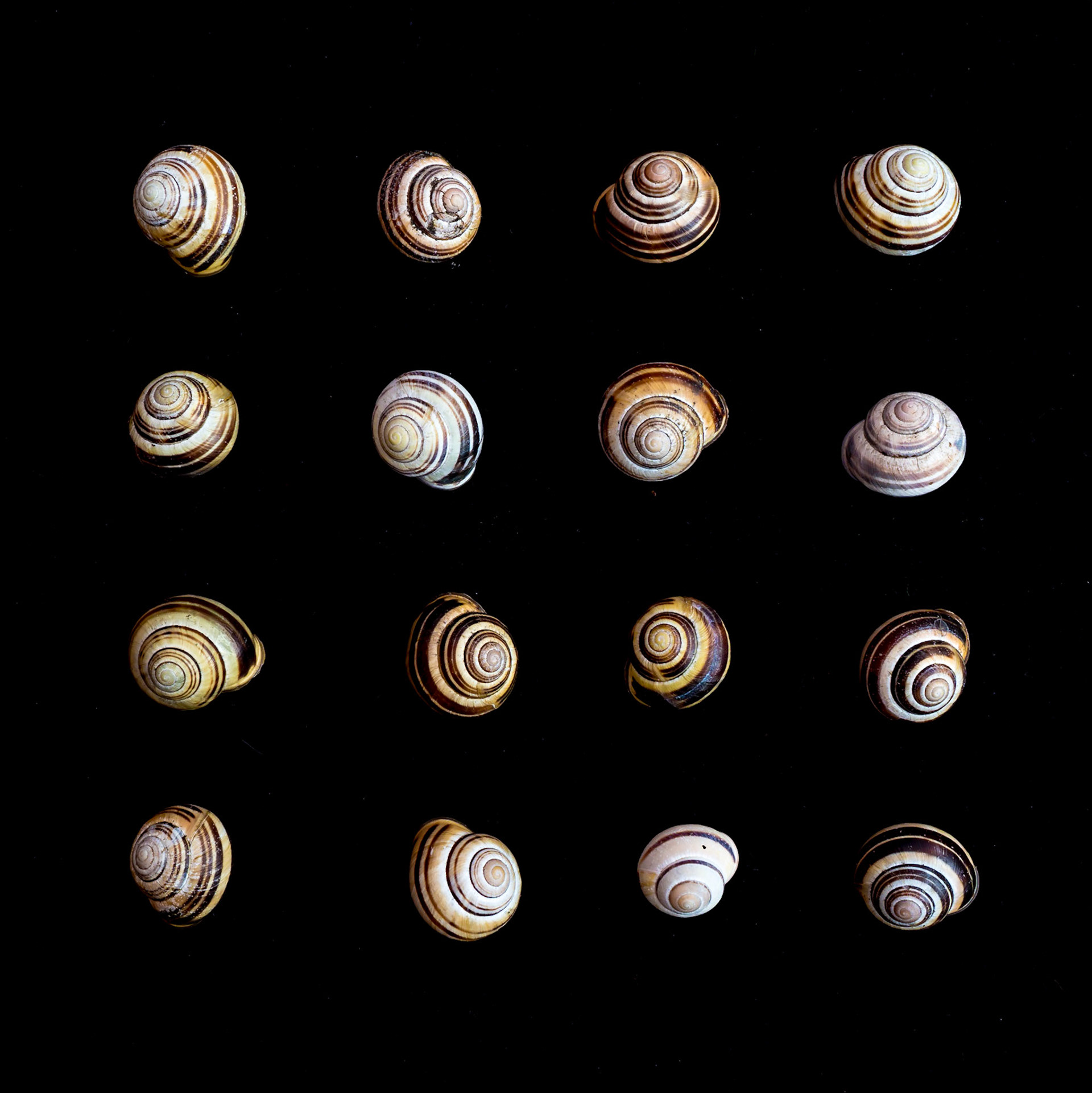 alan lawlor - findings