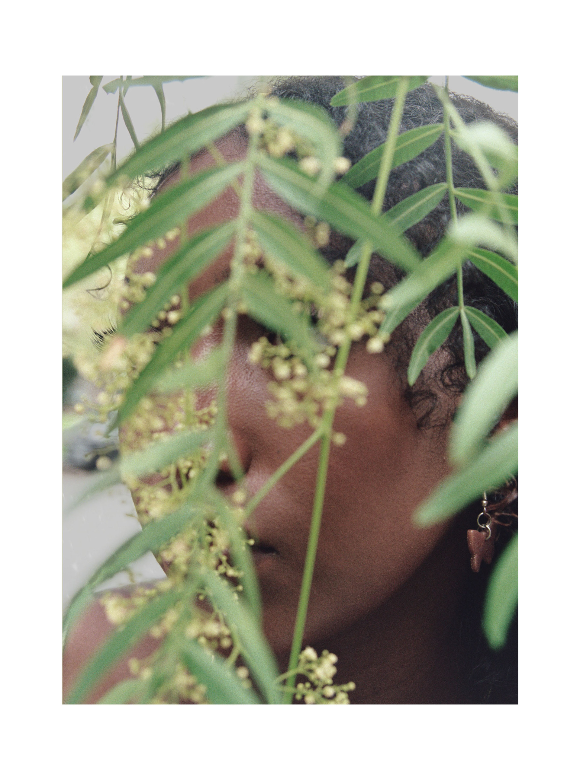 Dani Payne - Color Film Work