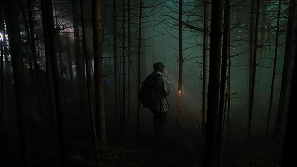 Schweigend steht der Wald - FILM