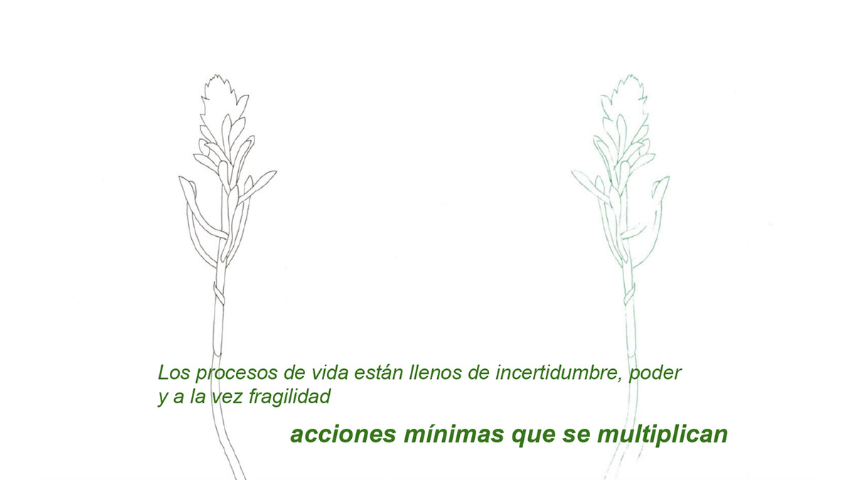 PILAR FLORES - APRENDIZAJES PARA LA CONVIVENCIA