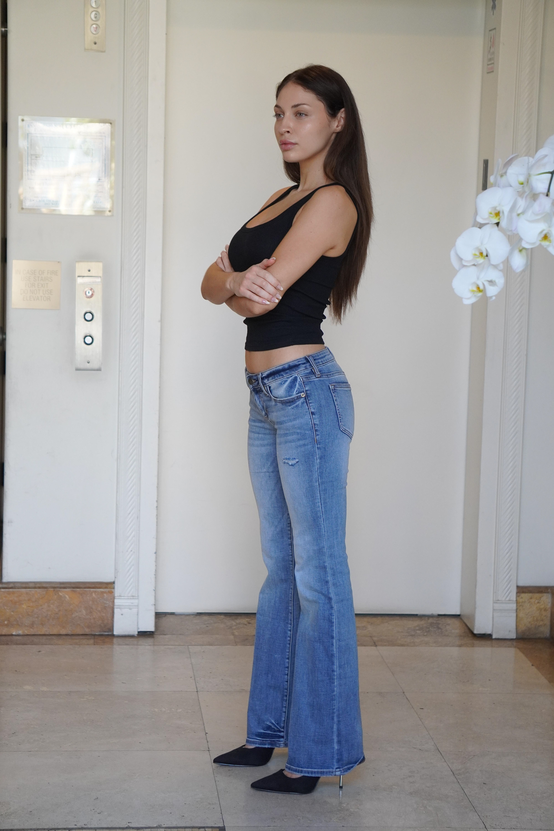 Alice Palay Portfolio - Digitals