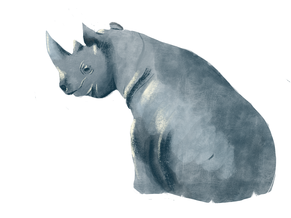 Katty Huertas - 5 Critically Endangered Species Animation