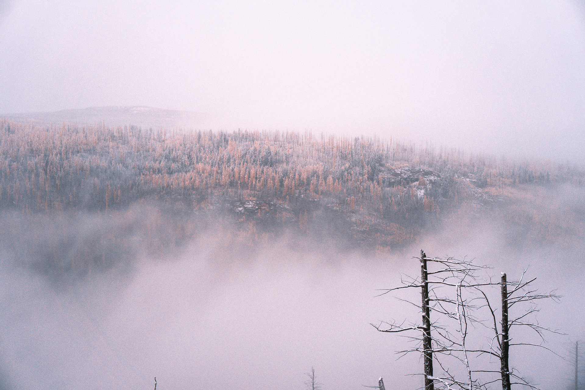 James McCullough - Myra Canyon Trestle Bridge - Winter
